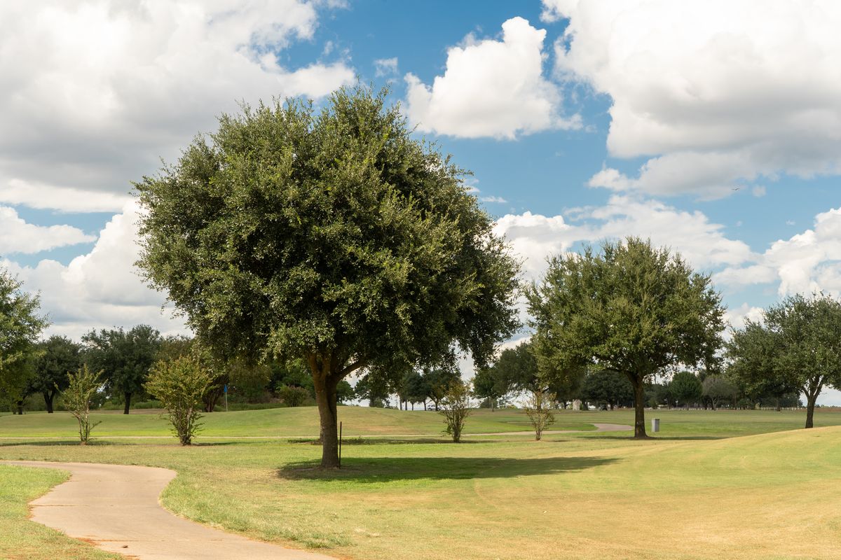 Gallery - Legendary Oaks Golf Course